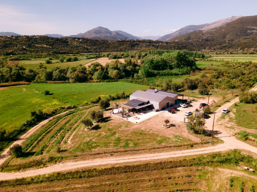 Το οινοποιείο – Zervas Winery